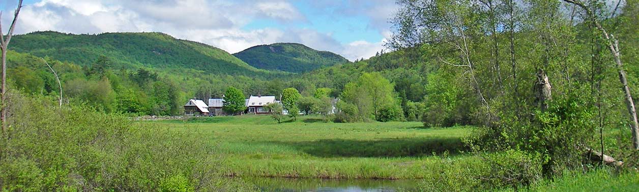 NH Moose Plates | State Conservation Committee - NH Moose Plates