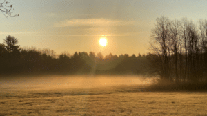 NH Moose Plates | NH Conservation and Heritage License Plate Program