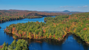 NH Moose Plates | NH Conservation and Heritage License Plate Program