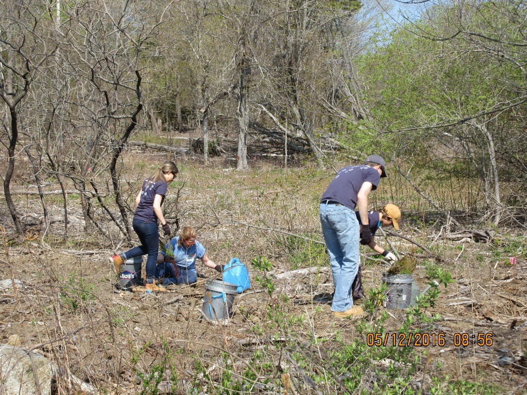 NH Moose Plates | NH Conservation and Heritage License Plate Program