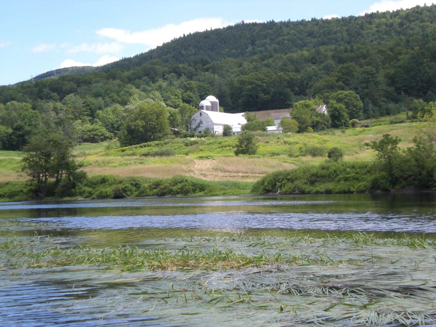 NH Moose Plates | NH Conservation and Heritage License Plate Program