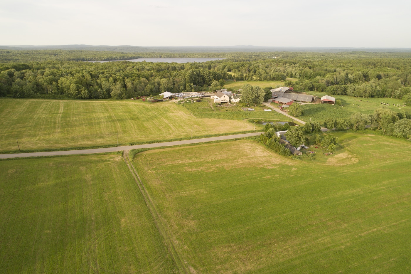 NH Moose Plates | NH Conservation and Heritage License Plate Program