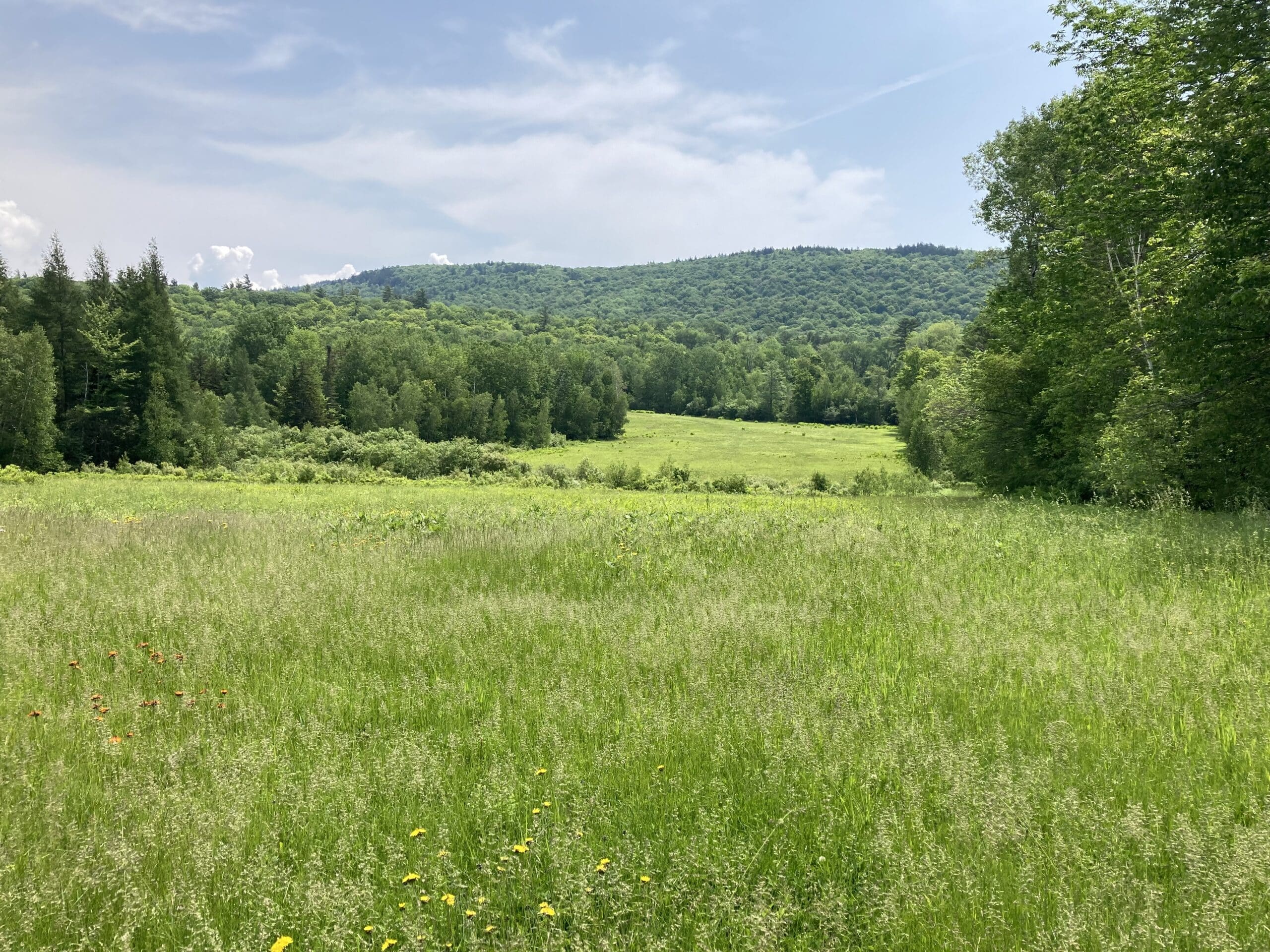 NH Moose Plates | Land Conservation: The Hanover Conservancy Protects ...