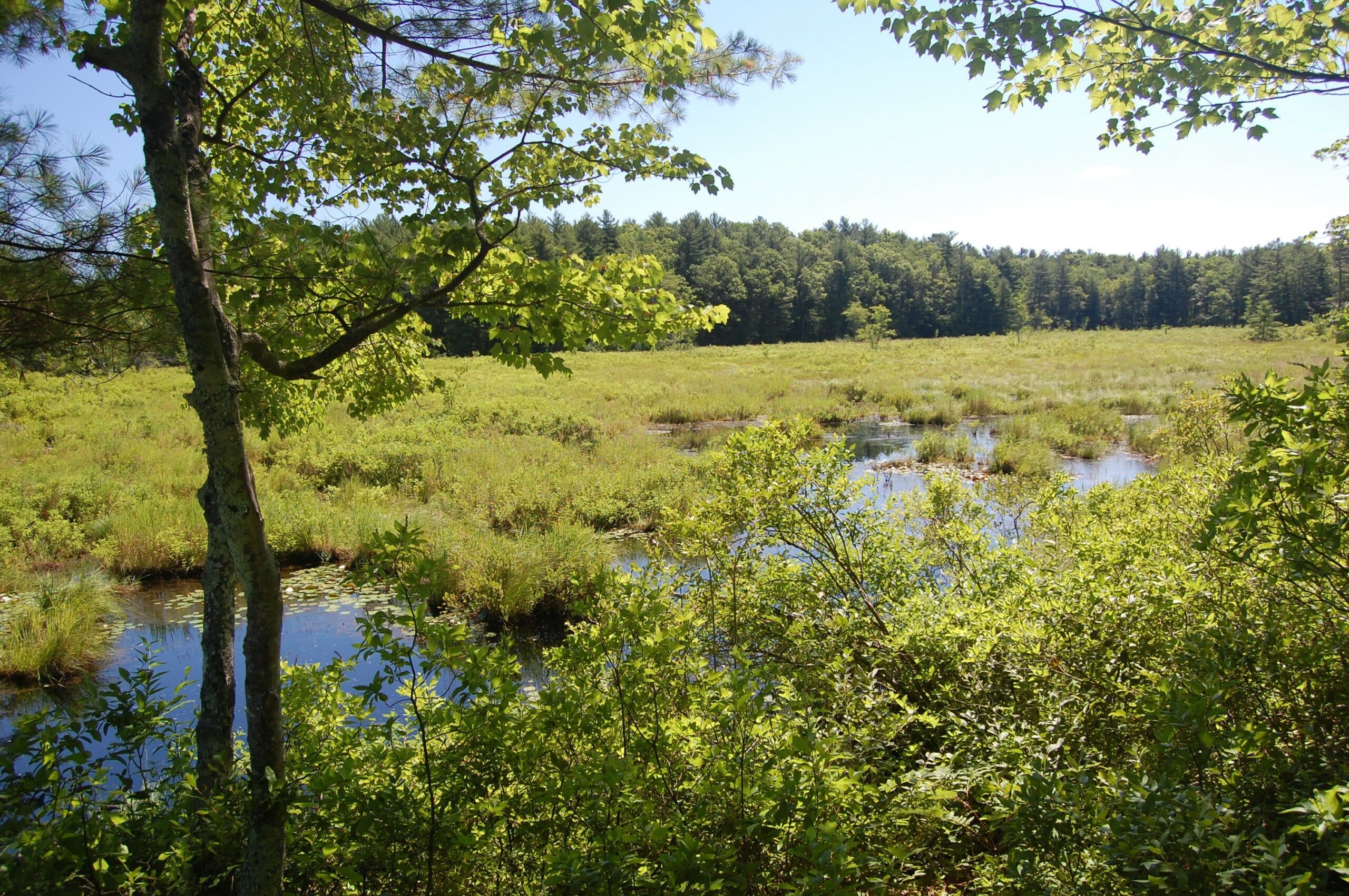 NH Moose Plates | Land Conservation: Atkinson Conservation Commission ...