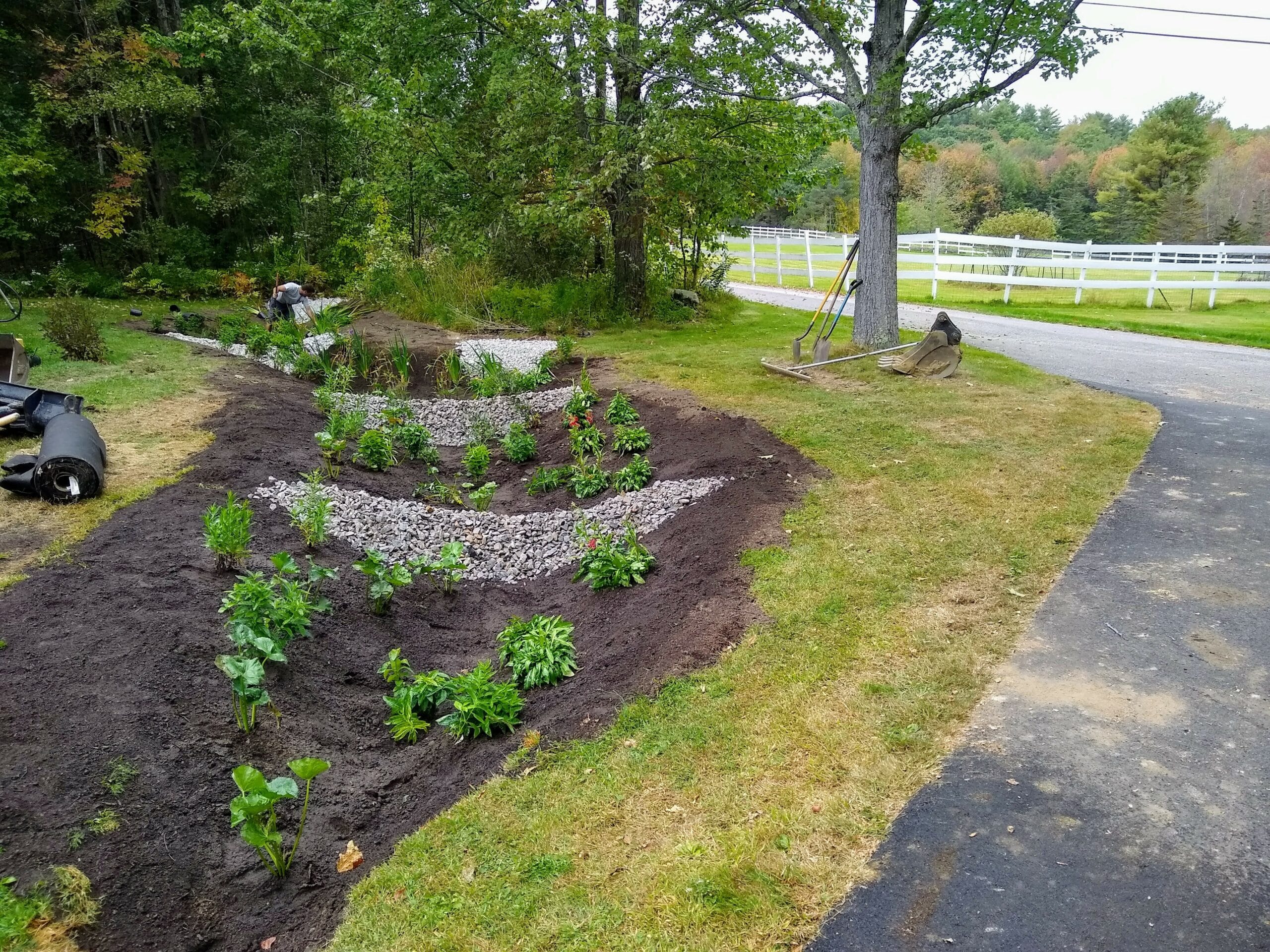 NH Moose Plates | Land Conservation: Pleasant Lake Preservation ...